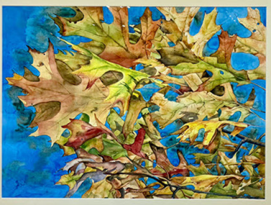 2023 GCWS Show at the Barn